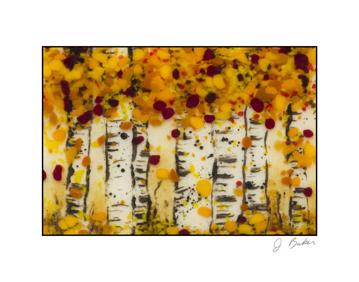 Sgraffito Aspen Study 22 Print - Jennifer Baker Glass Art